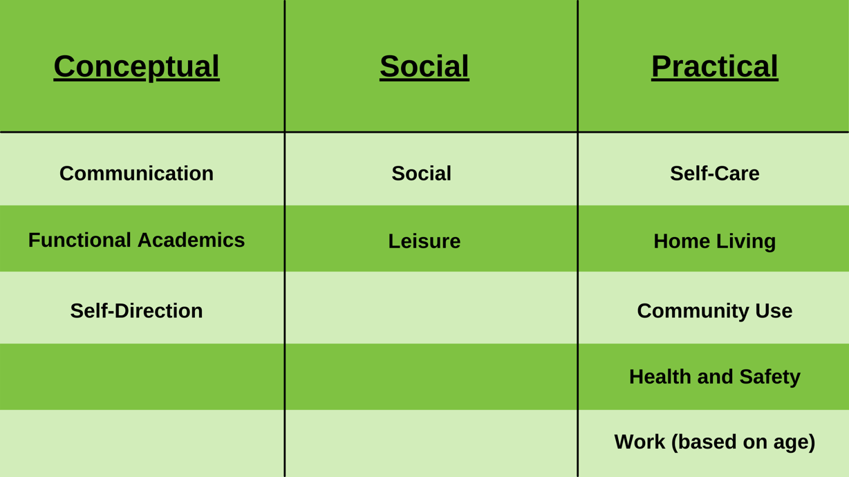 Assessment Plan: A Guide for Evaluating Intellectual Disabilities