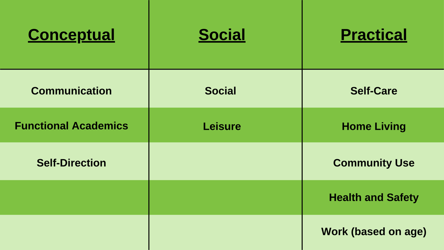 Assessment Plan: A Guide for Evaluating Intellectual Disabilities