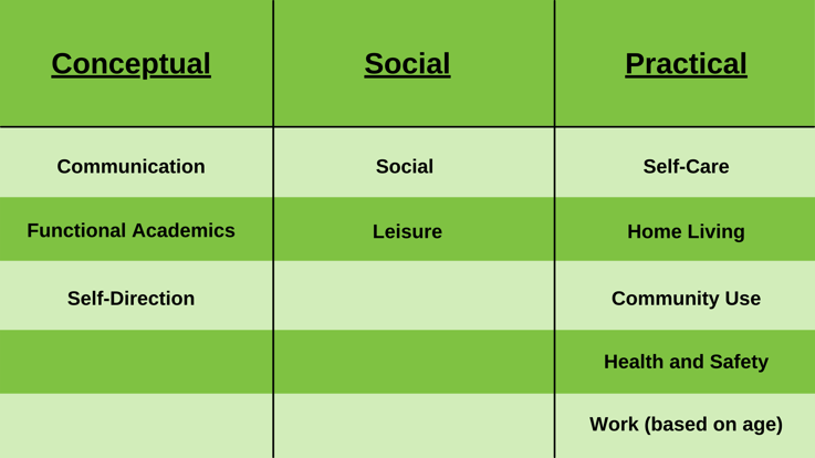 Assessment Plan: A Guide for Evaluating Intellectual Disabilities
