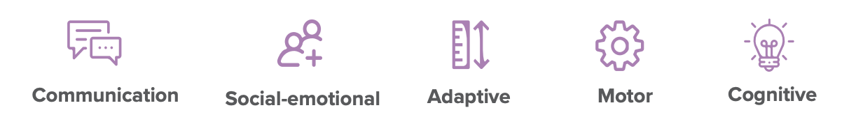 Exploring Assessment Tools for Early Childhood Development